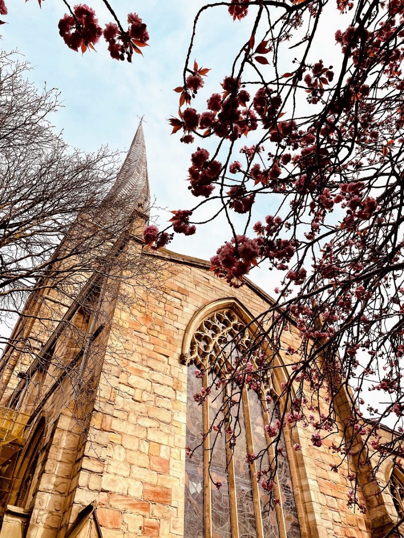 Chesterfield Crooked Spire In Springtime - Claire Justine