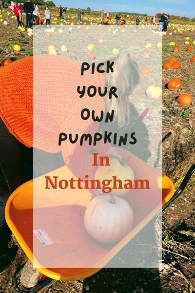 Pick Your Own Pumpkins In Nottingham - Claire Justine