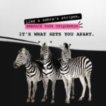 Making Zebra Jeans Your Statement Piece - Claire Justine