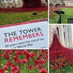 The Tower Of London Poppy Display - Claire Justine
